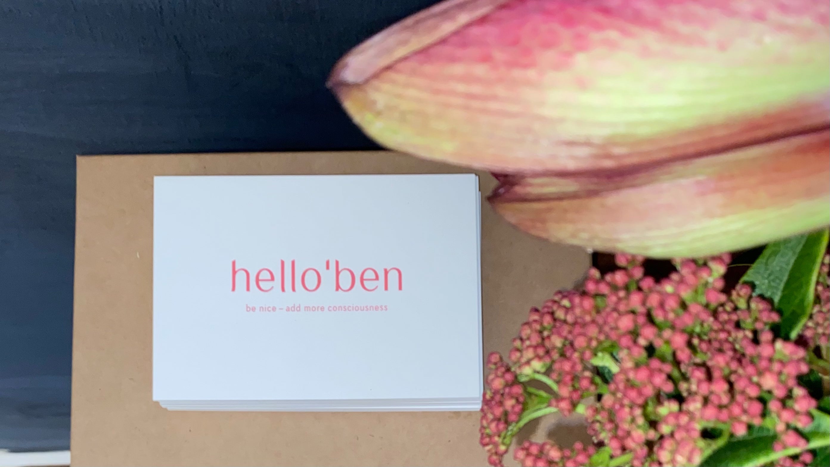 Pop-Up, Pop-Up | hello'ben store