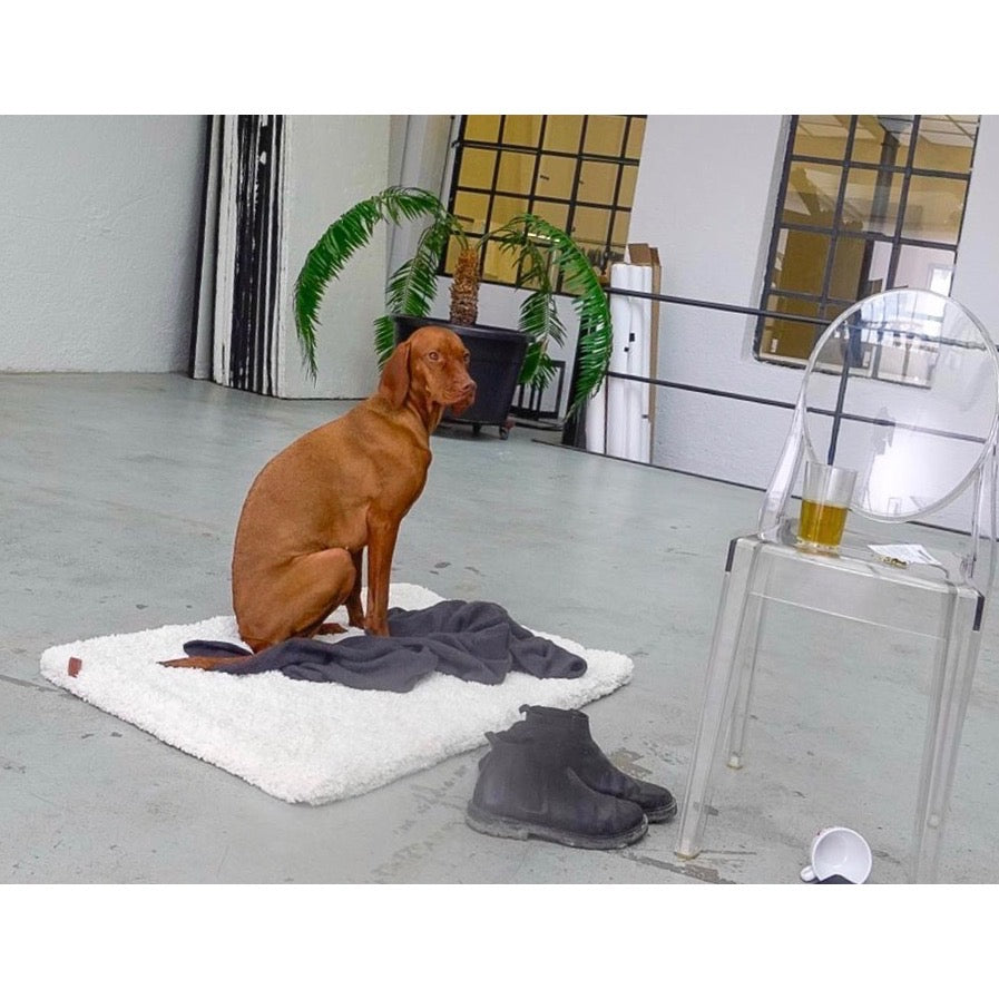 Behind the Scenes II | hello'ben store